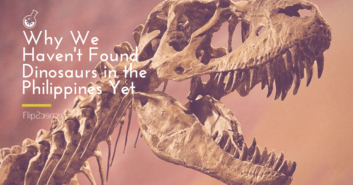 Here’s how the first animals appeared on Earth - FlipScience