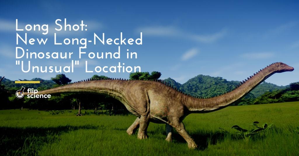 Long shot: New long-necked dinosaur found in “unusual” location ...