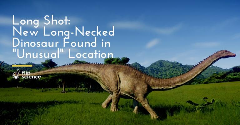 Long shot: New long-necked dinosaur found in “unusual” location ...