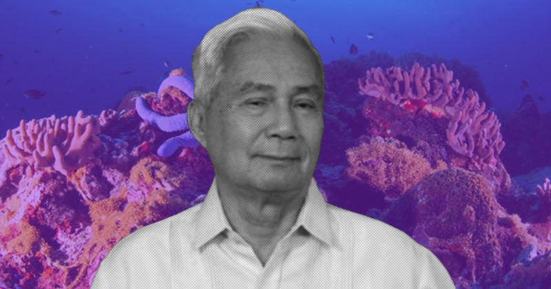 Dr. Angel C. Alcala: A Pinoy pioneer in marine biodiversity and reef conservation - FlipScience ...