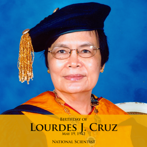 Dr. Lourdes J. Cruz: The Pinay biochemist who studied a deadly snail ...