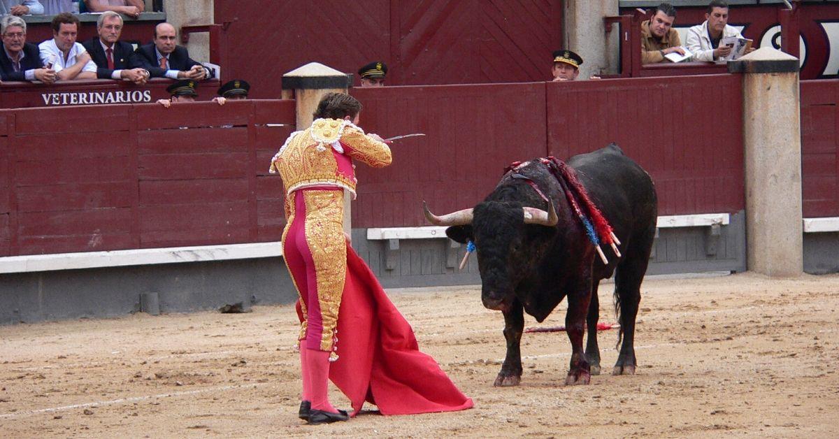 FlipFact (October 2, 2019): Does the color red really make bulls angry ...