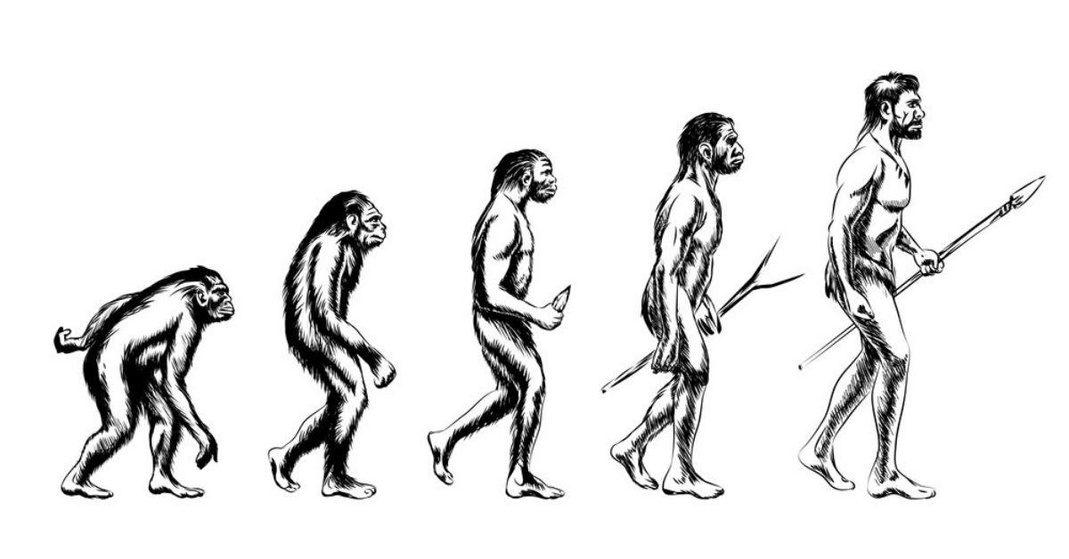 FlipFact (February 12, 2020): Did humans really evolve from apes ... FlipFact (February 12, 2020): Did humans really evolve from apes ...