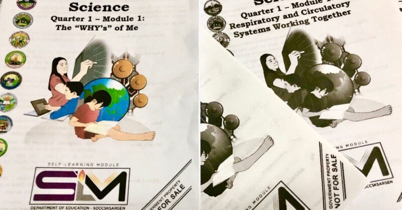 The 10 most popular FlipScience stories of 2020 - FlipScience - Top ...