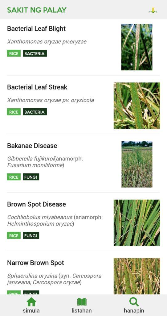 SPIDTECH: A smarter way of managing crop pests and diseases ...